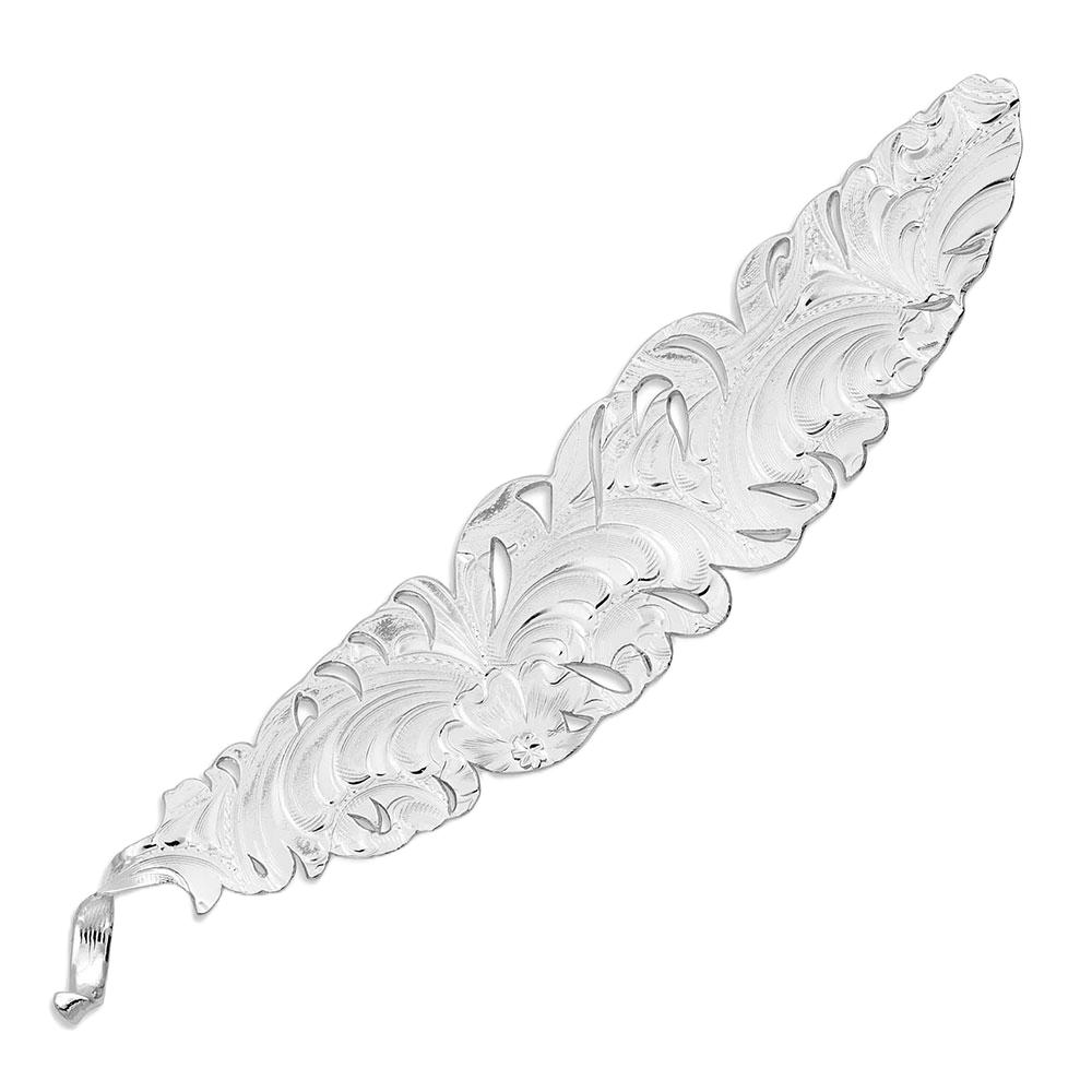Montana Silversmiths Classic Montana Hat Feather HF4059BK