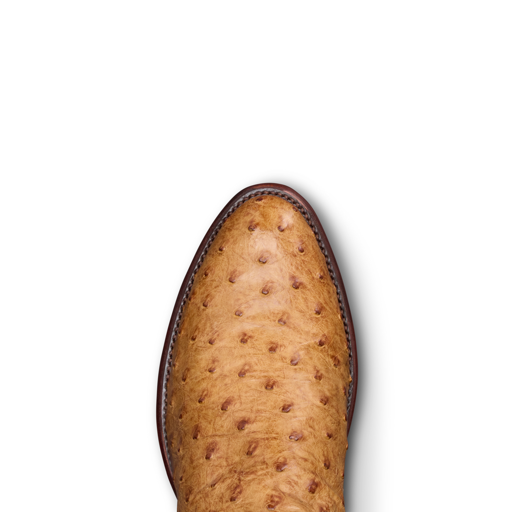 Tecovas Men's The Wyatt Cedar Brown Ostrich Western Boot 10077CED